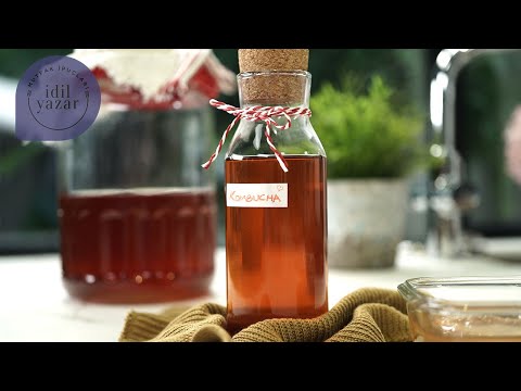 Kombucha (Fermente Çay ☕) Nasıl Yapılır? | Mutfak İpuçları