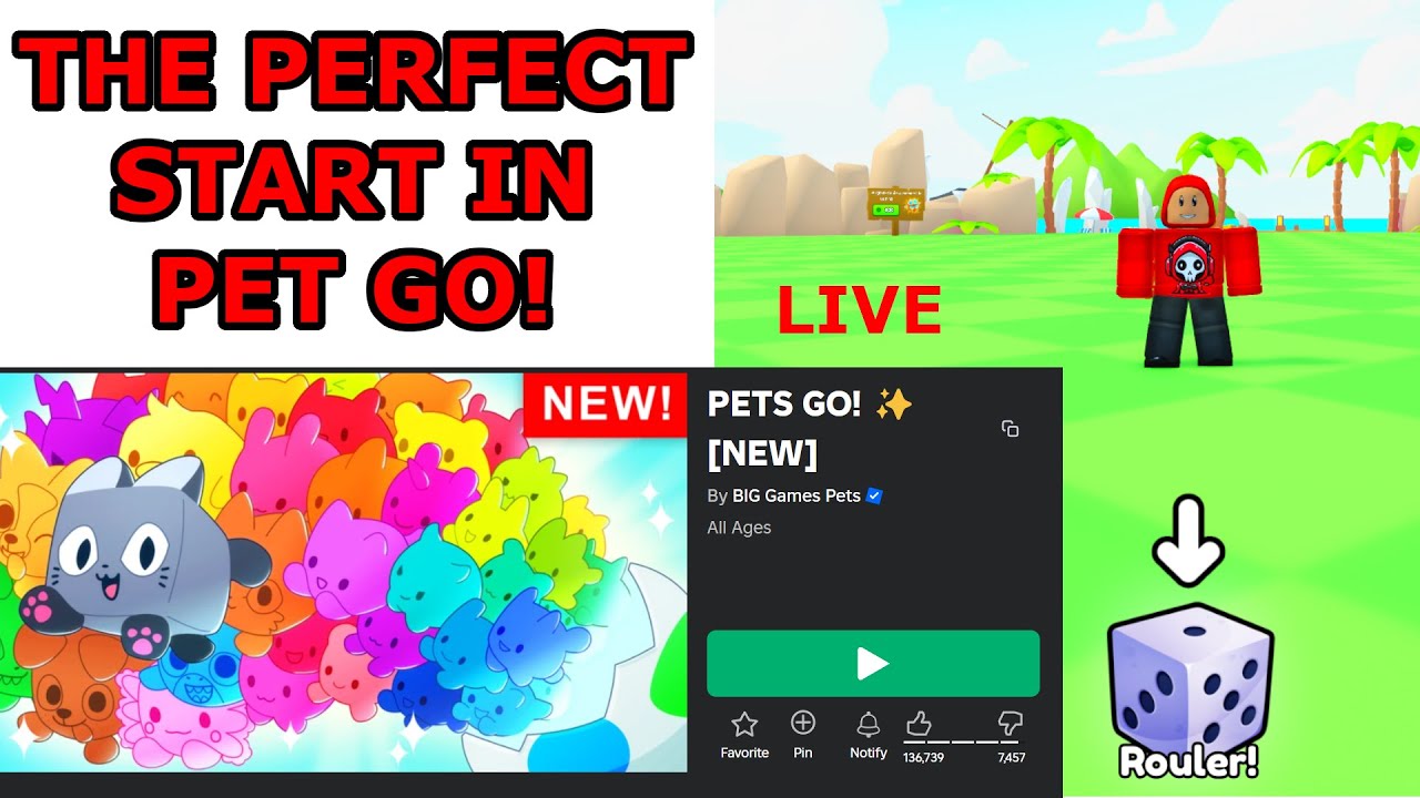 BEST START in pet go! - YouTube