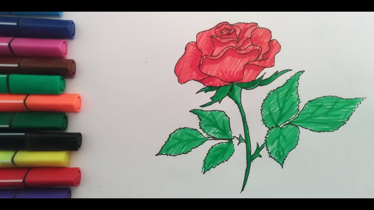 КАК НАРИСОВАТЬ РОЗА How To Draw Rose Flower АТИРГУЛ РАСМ ЧИЗИШ РОЗА