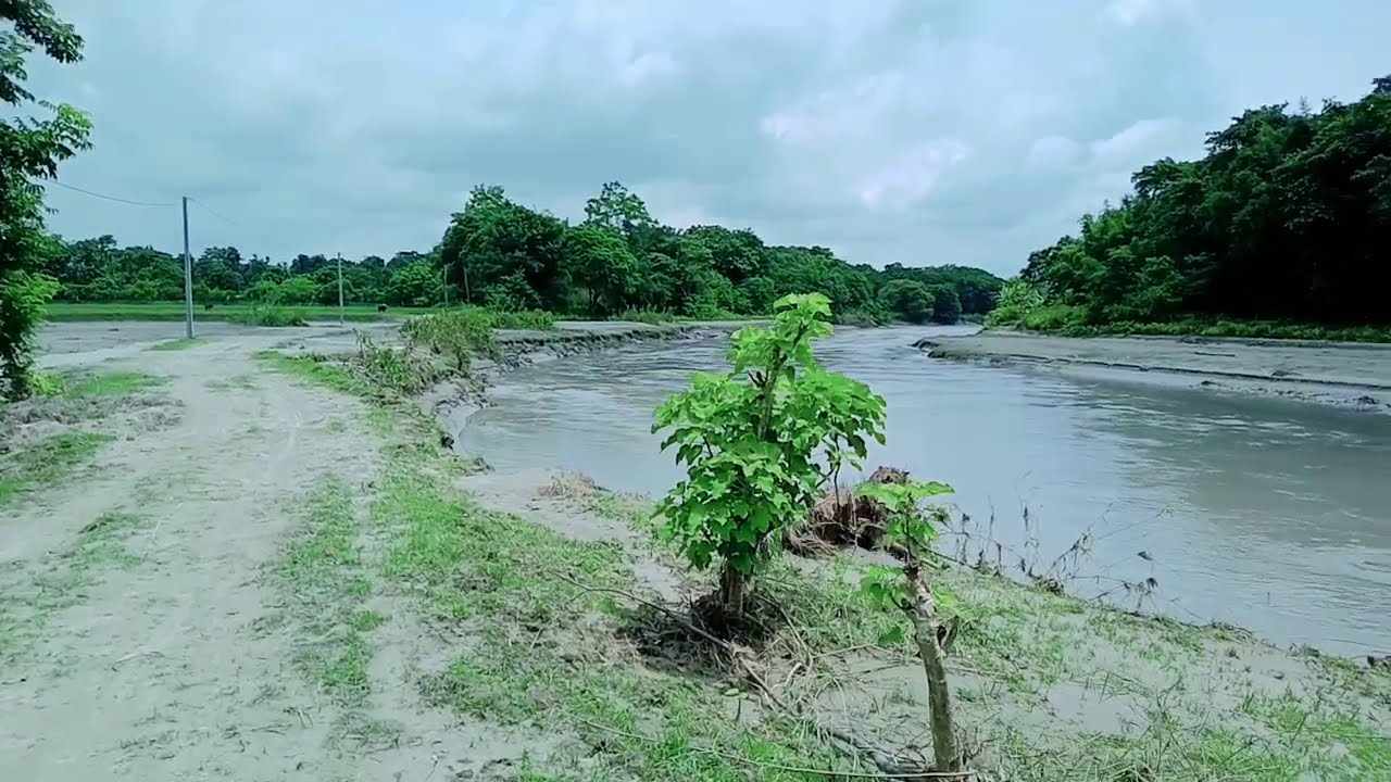 New upload video #Kulsi river #Tangla #Assam #India - YouTube