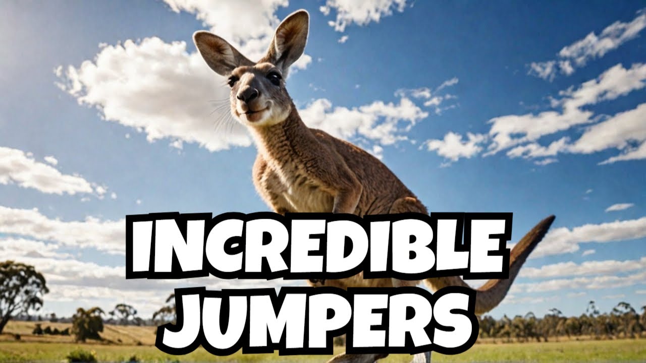 Hopping, Leaping, and Bouncing! Meet Amazing Jumping Animals - YouTube