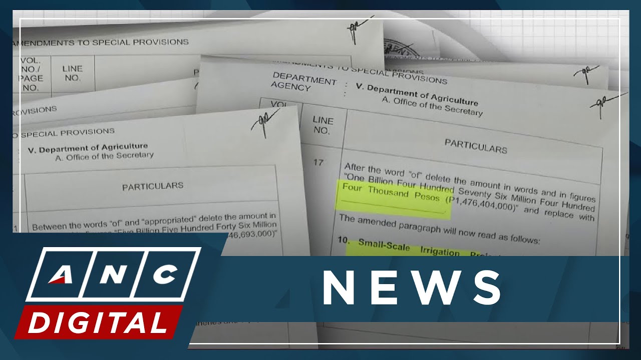 Zero PhilHealth subsidy, lower education funds, blank items in 2025 ...