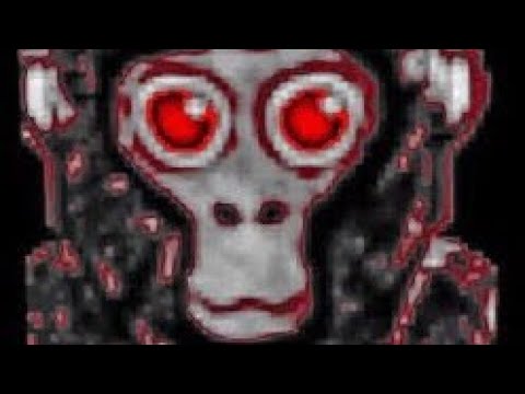 Sighting Of J3VU, NULL & RUN RABBIT. Gorilla Tag Ghost Hunting #1 - YouTube