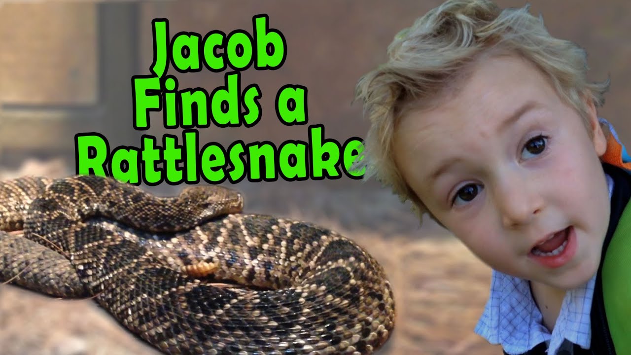 Jacob Finds a Rattlesnake - YouTube