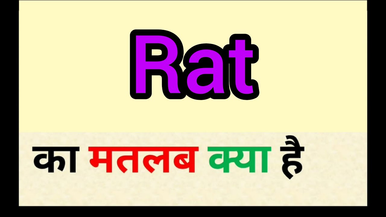 Rat Meaning In Hindi Rat Ka Matlab Kya Hota Hai Word Meaning rat-meaning-in-hindi-rat-ka-matlab-kya-hota-hai-word-meaning