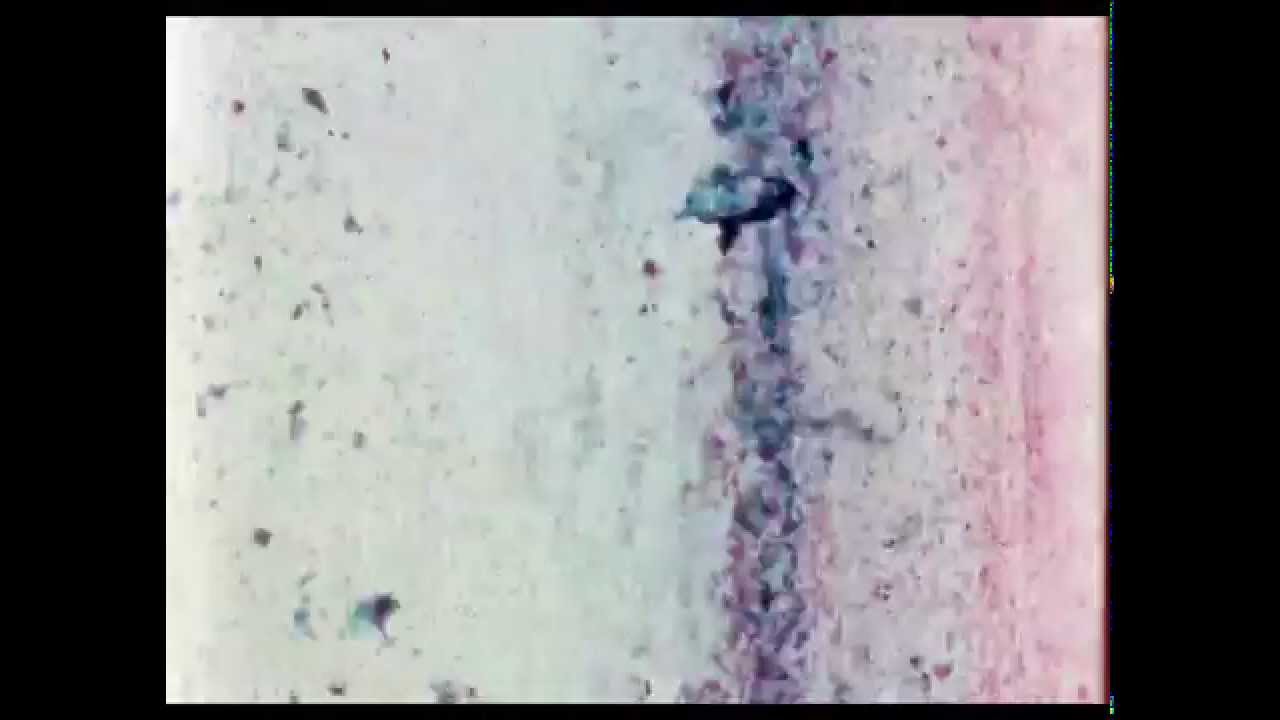 Veils transfer - YouTube