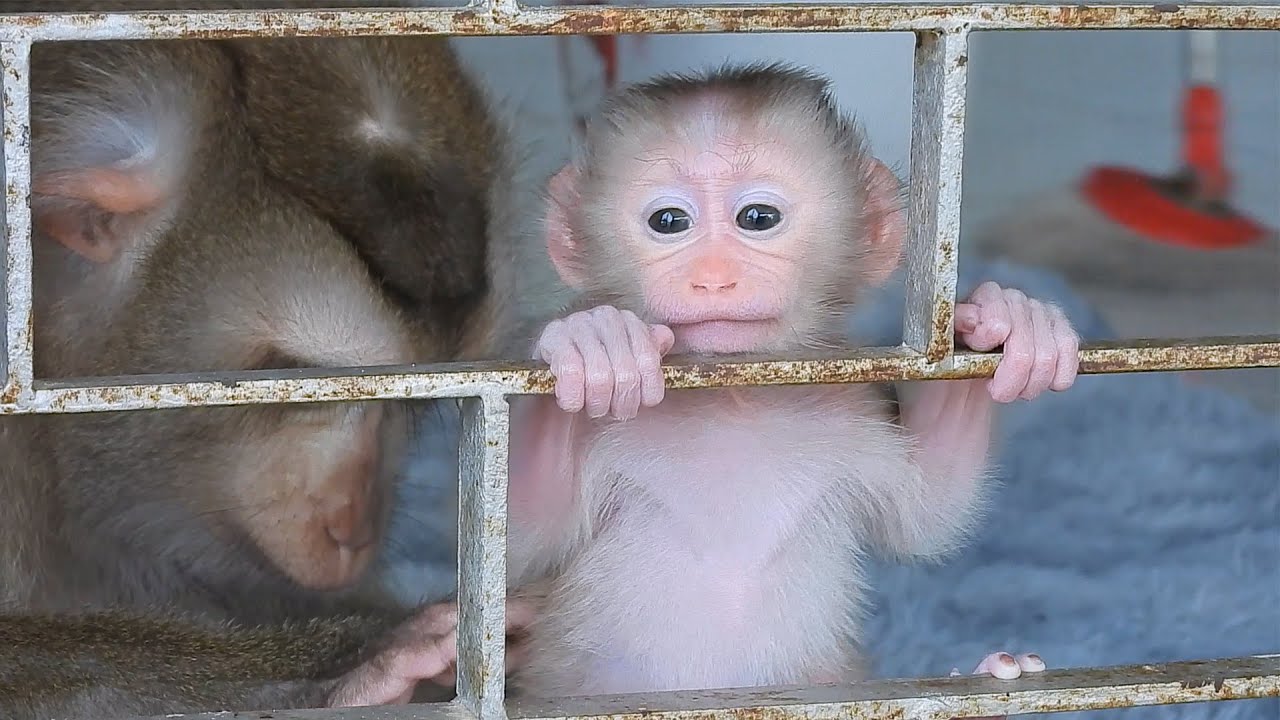 Cute Baby Luka Happily Playing Door Near Mommy Luna - YouTube