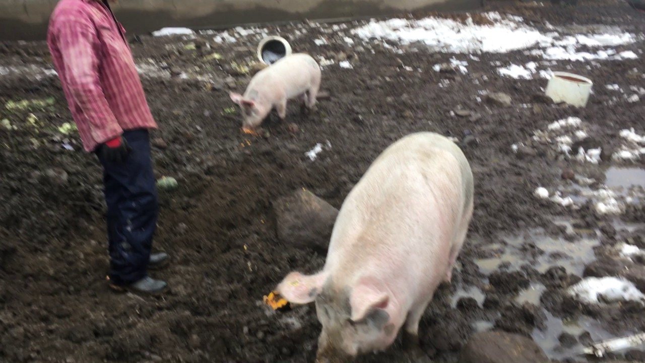 Hello, my name is Flo. - YouTube