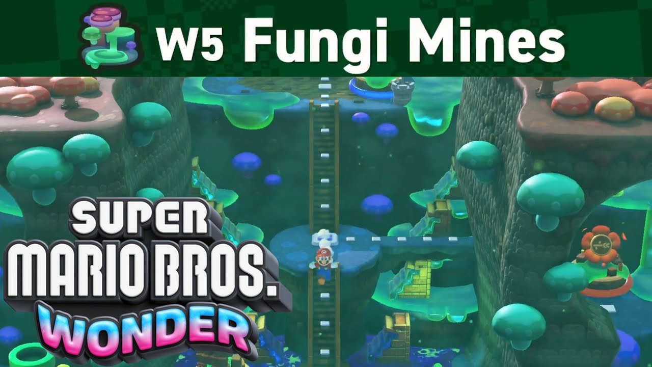 Timestamped QUICK EASY World 5 Secret Exits Coins and Wonder Flowers ...