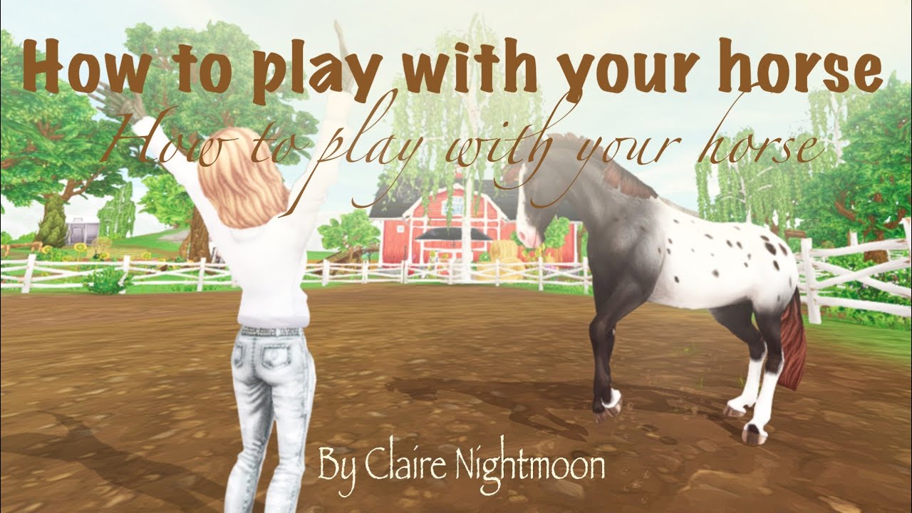 How to play with your horse! -Guide, treats,and a lot of running ...