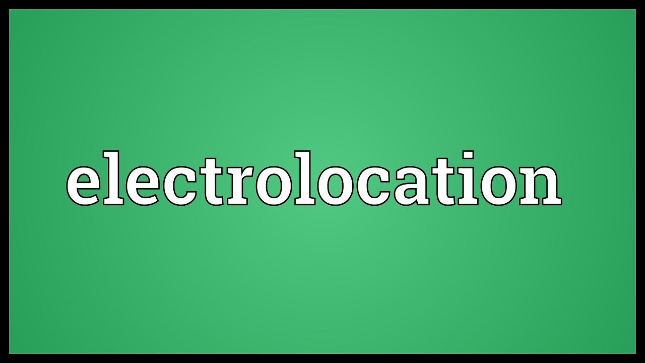 Electrolocation Meaning - YouTube