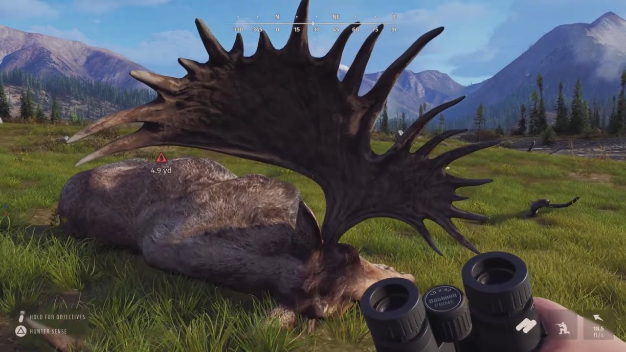 (Monster 5 Star Moose!) Way of the Hunter - YouTube