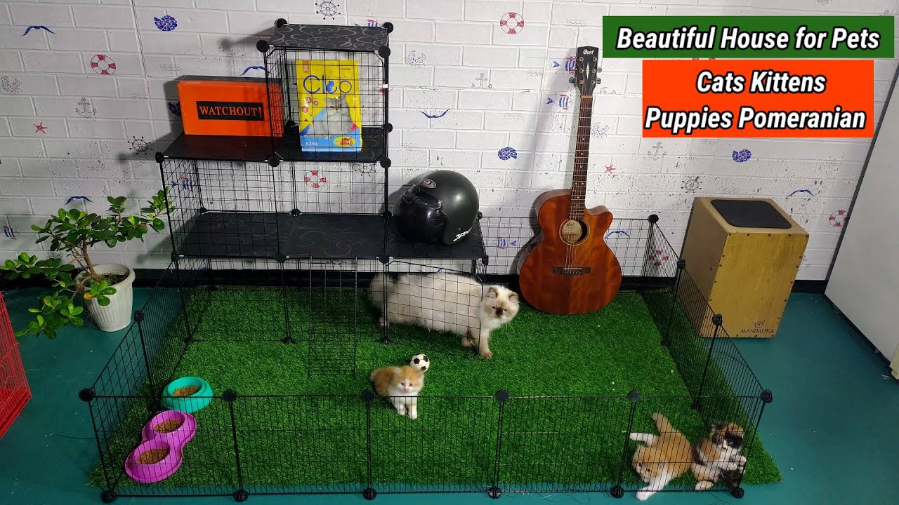 Build Beautiful Houses for Cats, Kittens, Munchkin, British, Puppies ...