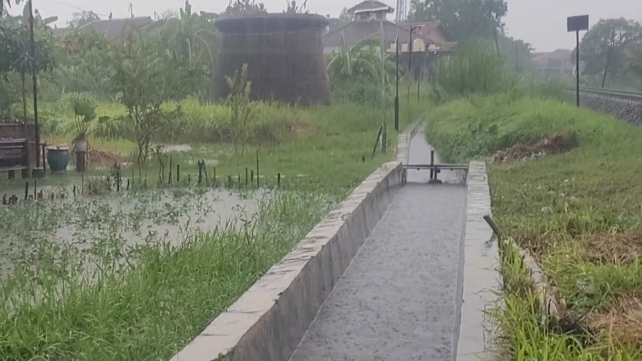 heavy rain walk in village || very relaxing and comfortable || asmr ...