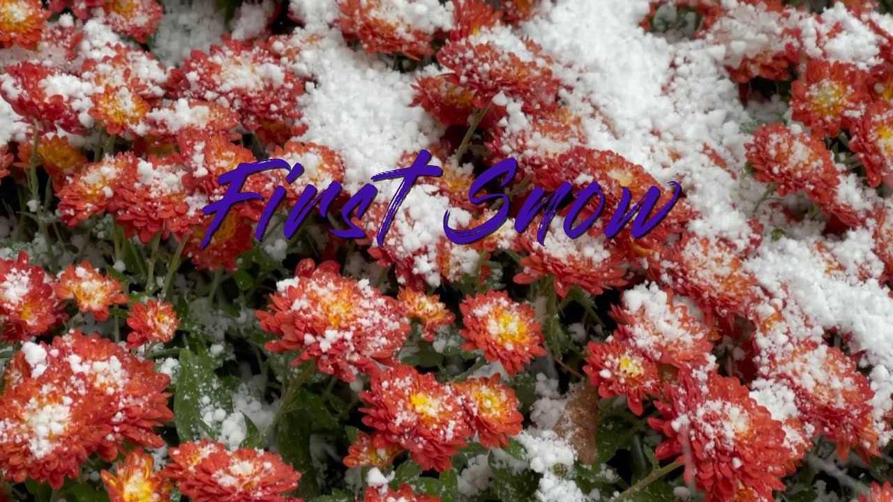 First Snow of 2023, 今年第一场雪 , hail - YouTube