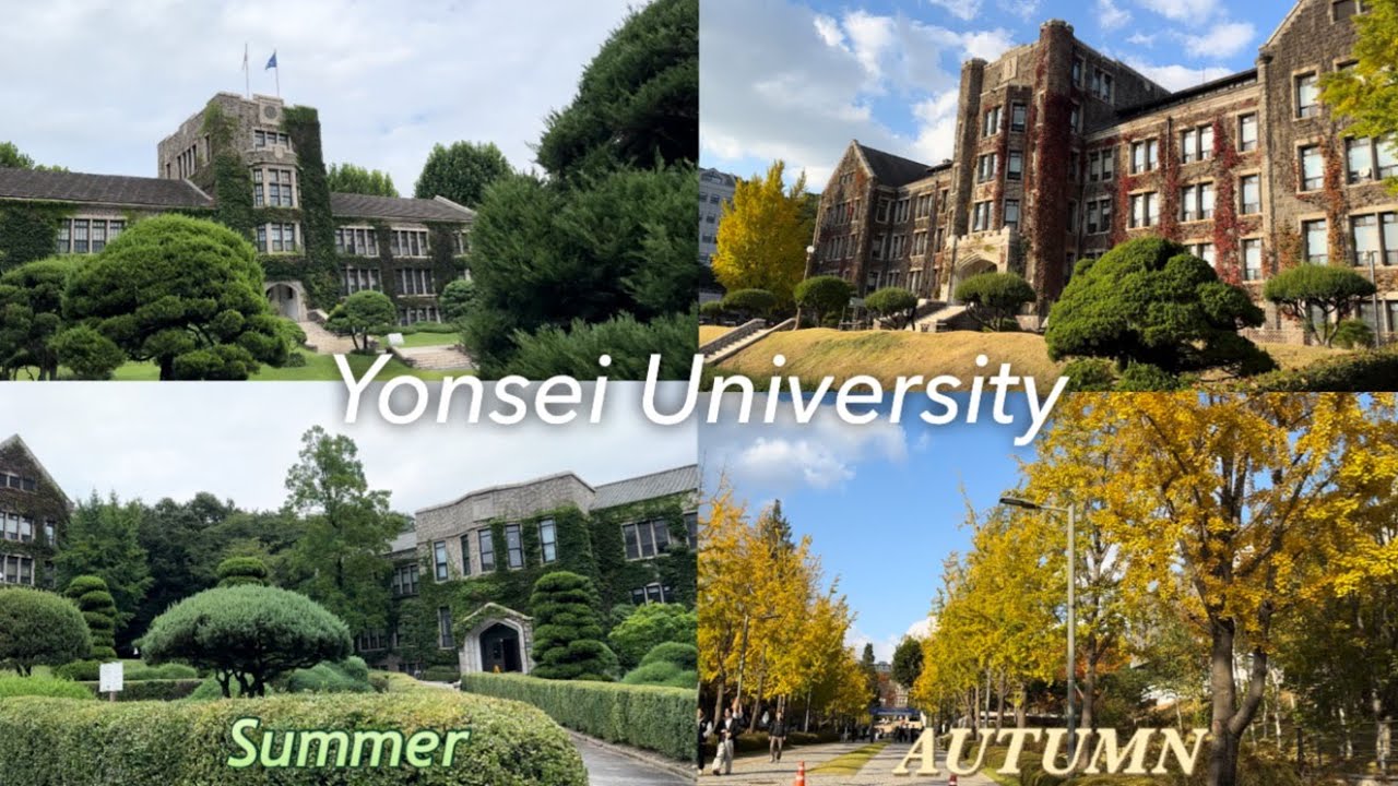 🌿여름, 그리고 🍁가을의 연세대 캠퍼스 필름 yonsei university campus tour in summer and ...