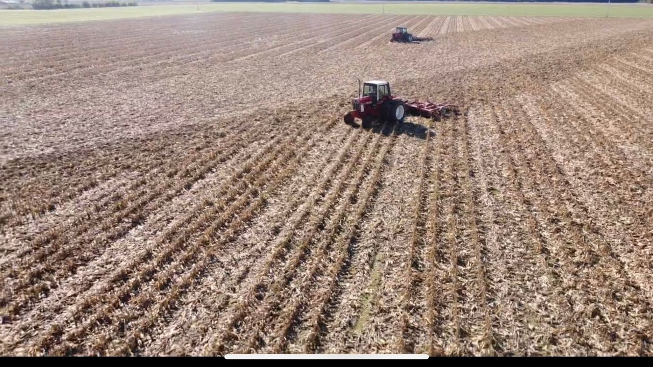 International 1086 and 5288 Disking SIde by Side - YouTube