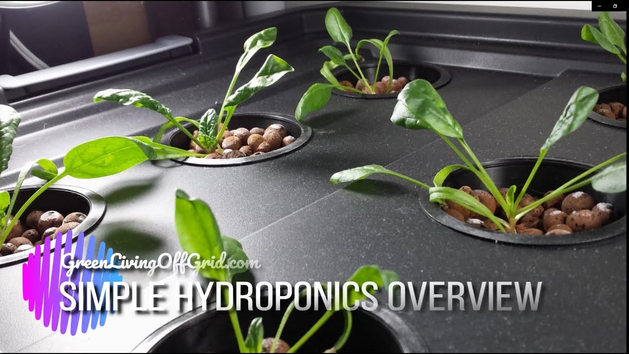 Simple Hydroponics Overview - YouTube