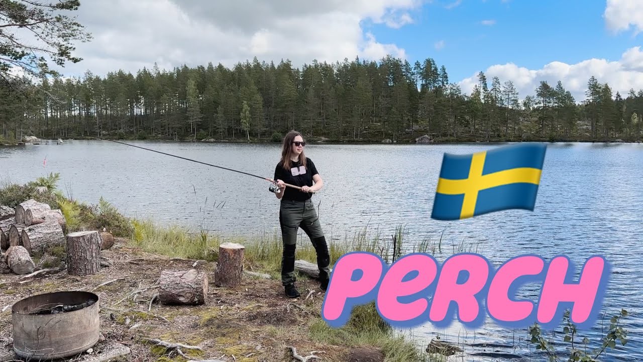 Swedish fishing 5: My first perch - YouTube