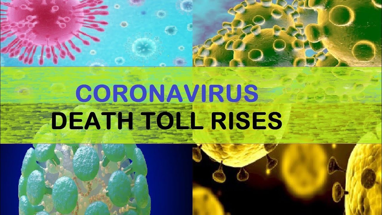 Coronavirus Death Toll Rises As Virus spreads (2020) - YouTube