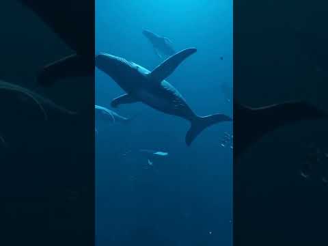 santiz - посмотри назад (slowed reverb by amg)