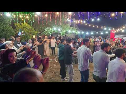 Ozan Fatih - Delilo  Sarı Kum Tatvan 2026 ( Grup Mavi Ay )
