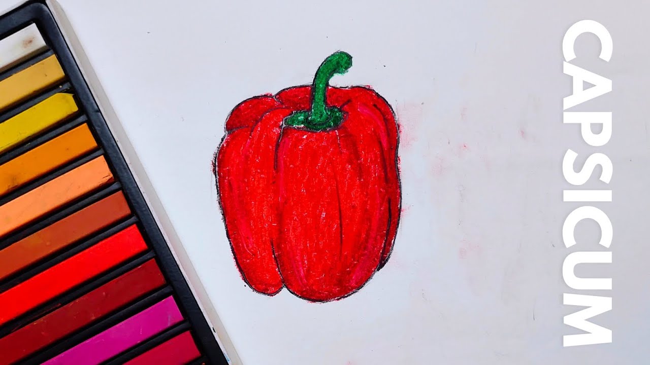 How to Draw Capsicum - YouTube