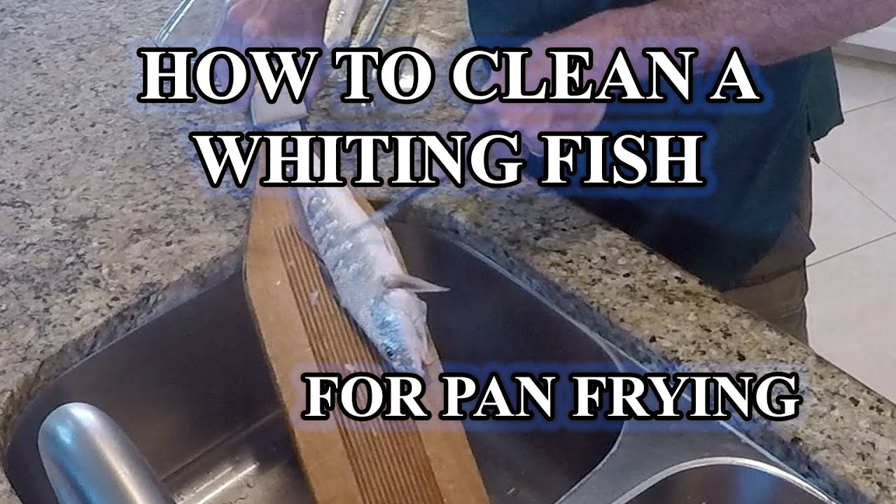 How To Clean A Whiting Fish - YouTube