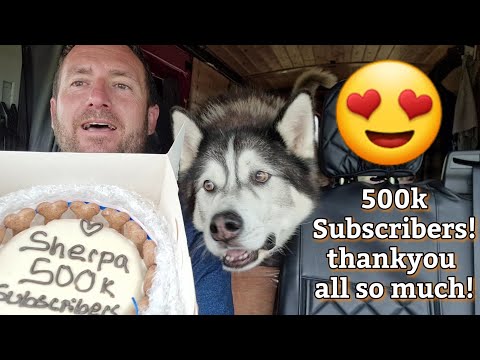 Embarrassing Husky Gets 500k Subscribers!