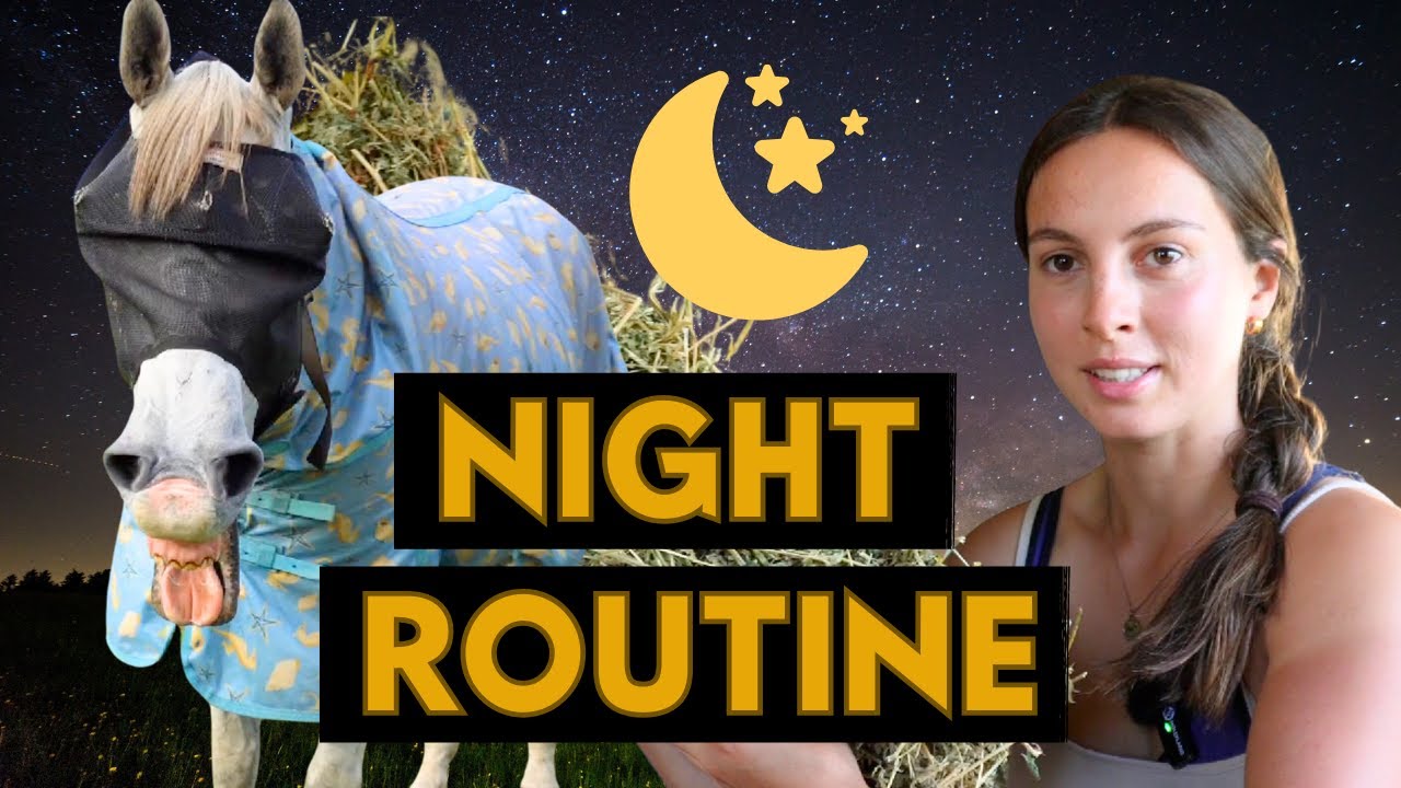 Equestrian Summer Night Routine | GONE WRONG!! - YouTube