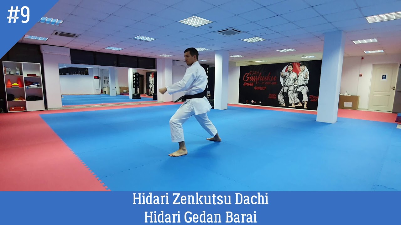 Taikyoku Shodan Kata - JKA 8th Kyu Examination - YouTube