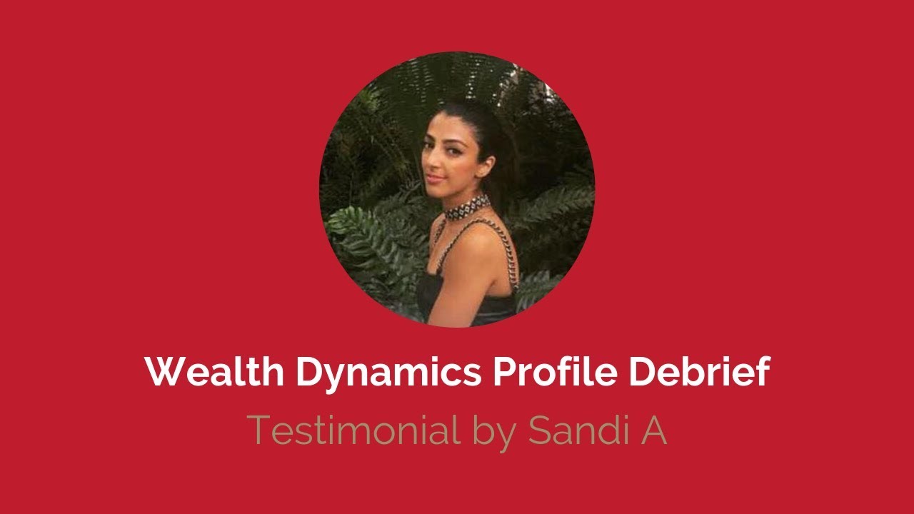 Business Warrior Wealth Dynamics Profile Debrief Testimonial | Sandi A ...