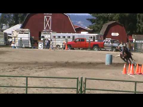 Julie wwga oms barrels