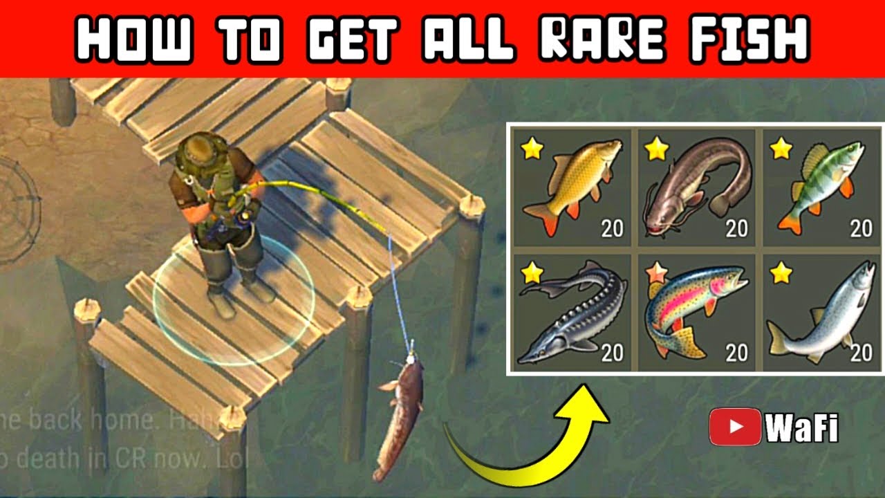 How to Find Rare Fish - Last Day on Earth: Survival - YouTube