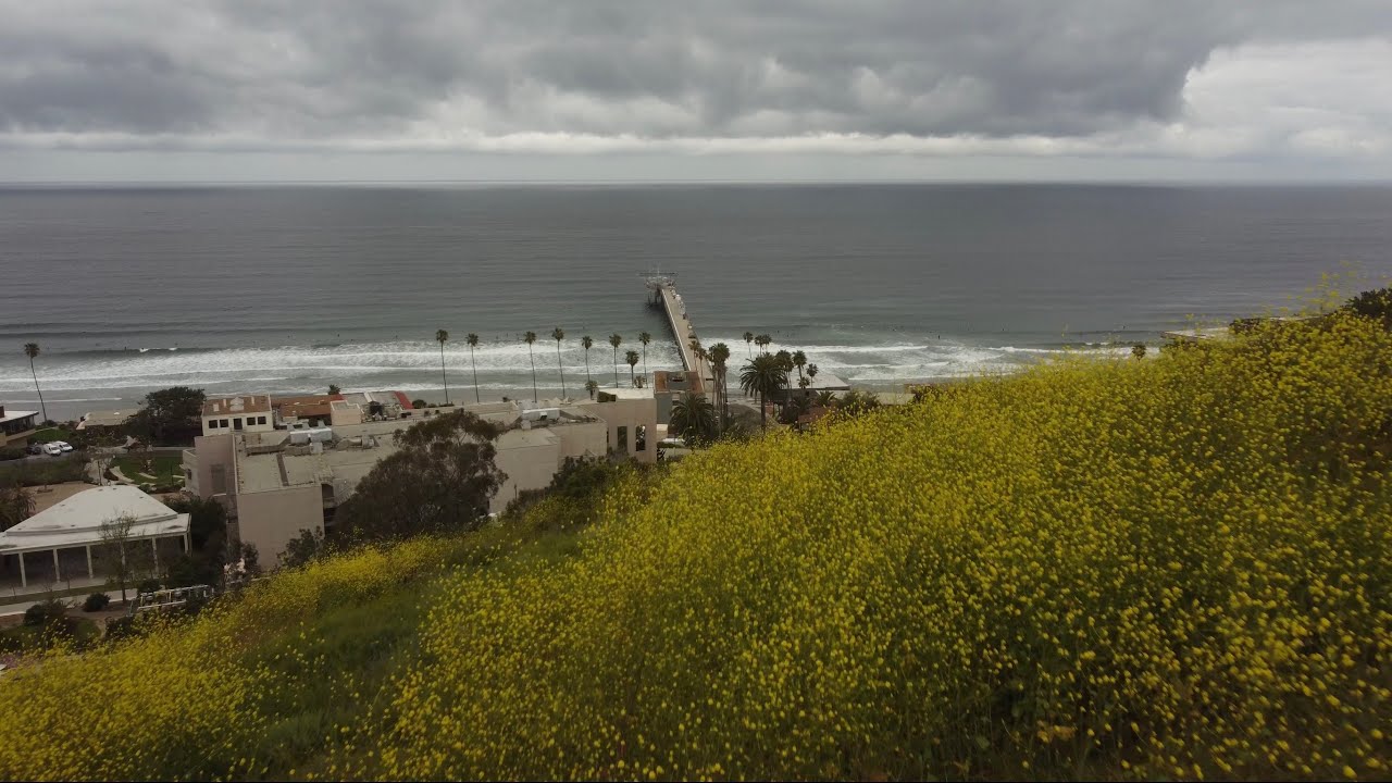 Amazingly Beautiful Overcast La Jolla Morning - YouTube