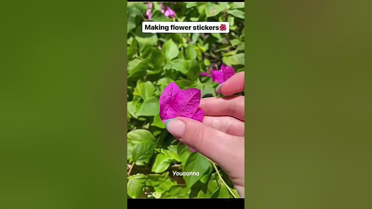 كيف تصنعي استيكرز من الورد🌷🧸 Youtube