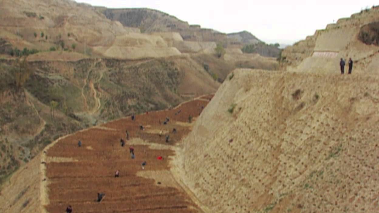 Ecosystem restoration China - John D. Liu - YouTube