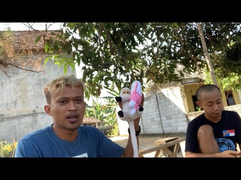 PERJUANGAN DAPETIN BONEKAH KESUKAAN PUTRI GERALDINE