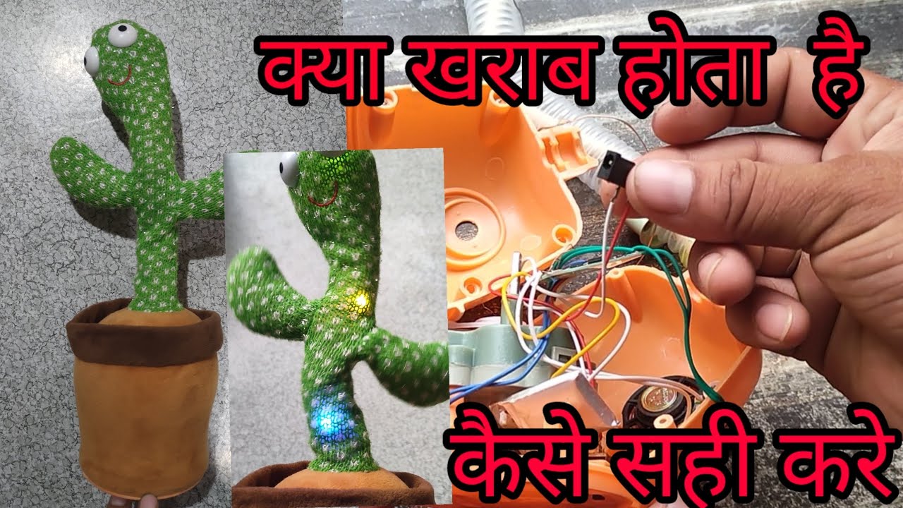 Dancing cactus 🌵 repair in home #viral #dance #dancingcactus # ...