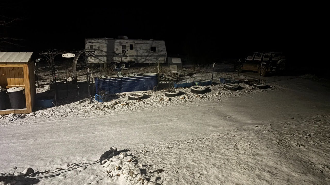 Live Chat | Oh What a Week Its Been! - YouTube