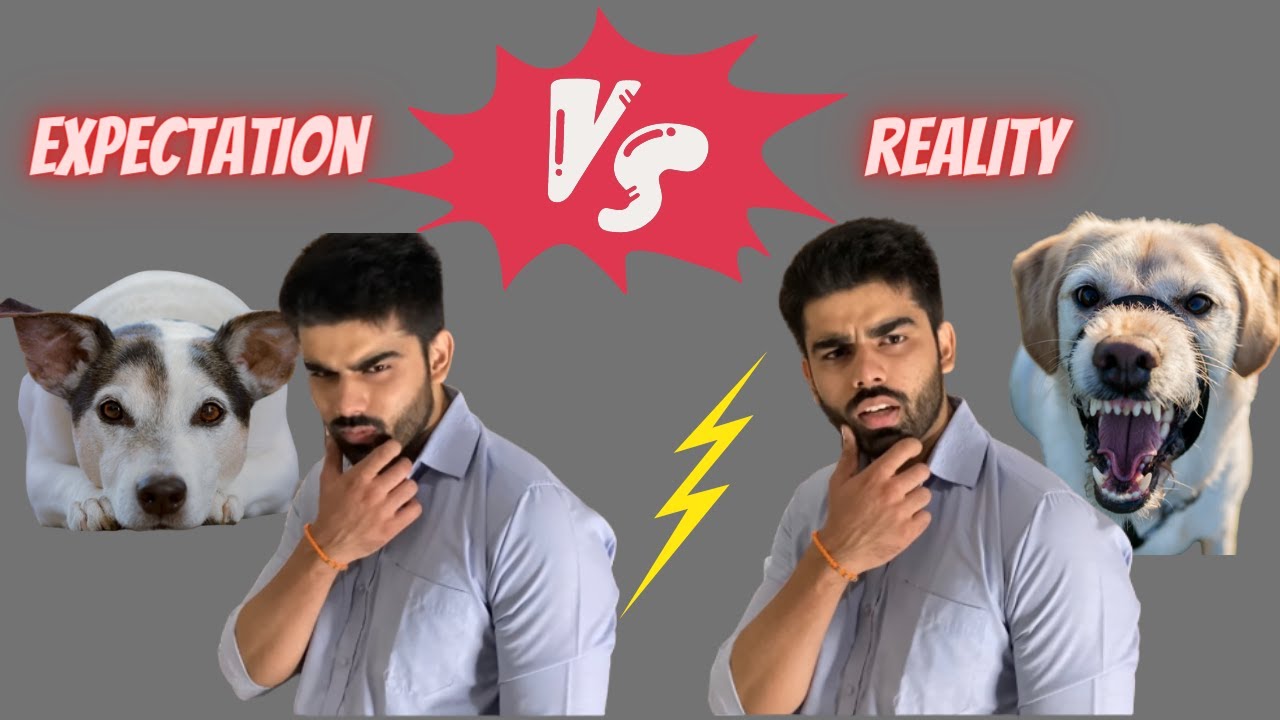 EXPECTATION VS REALITY OF HAVING A DOG(PART-2) - YouTube