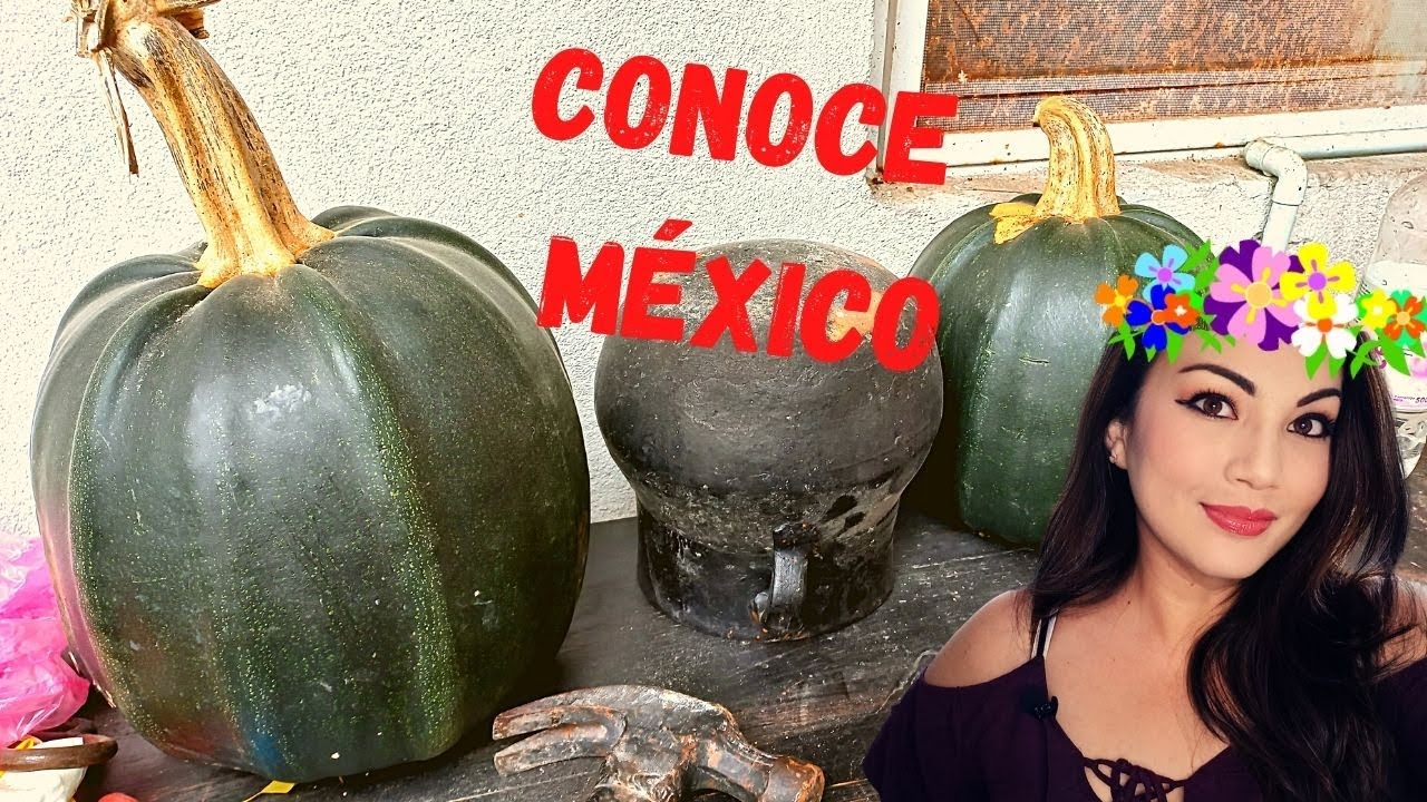 Cosecha de CALABAZAS, Elotes y el Centro de Dr Arroyo I MÉXICO - YouTube