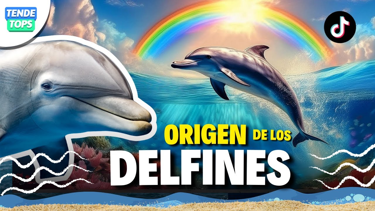Origen Del Delfín Arcoiris Symphony De Tik Tok - YouTube