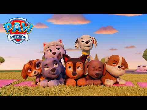 Yavru Köpekler Yoga Deniyor! (Derleme) | Paw Patrol Türkiye | Çocuklar İçin Çizgi Filmler