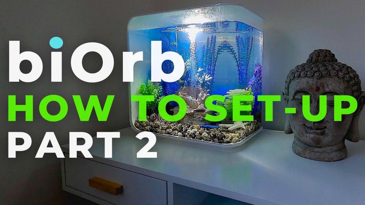 biOrb Aquarium | How to set-up a biOrb from new | PART TWO - YouTube