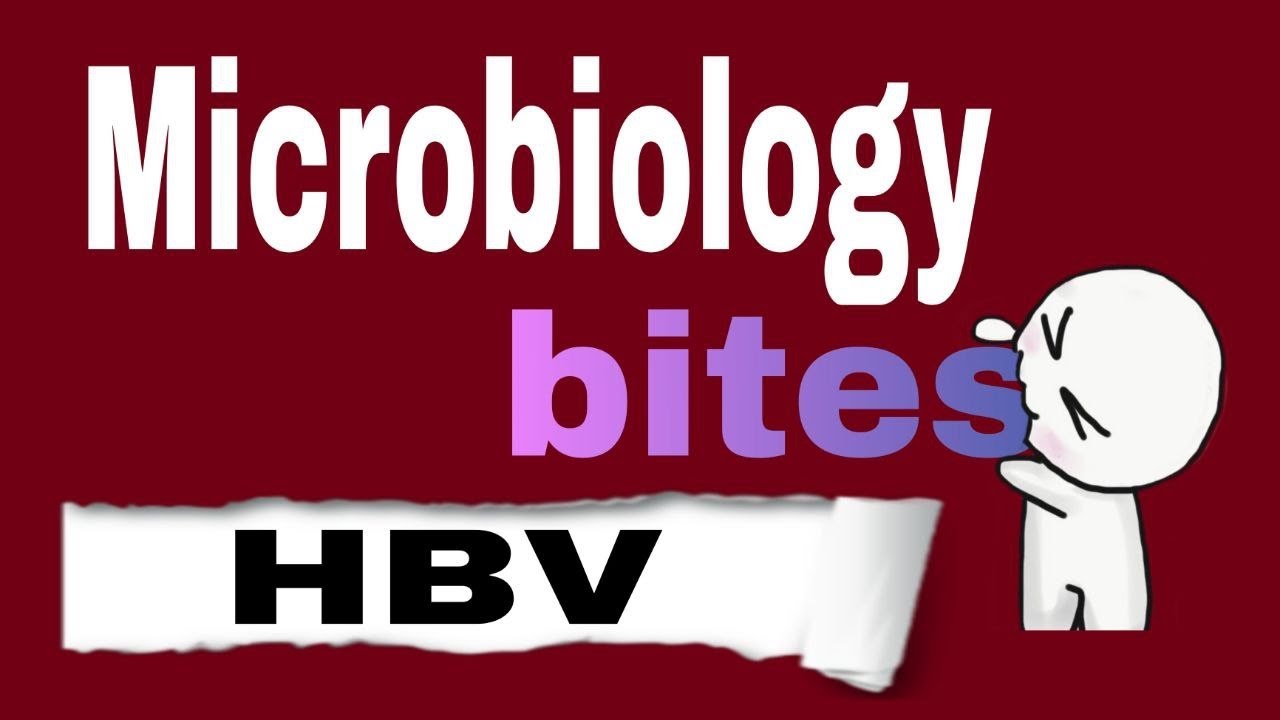 Svnu HBV microbiology - YouTube
