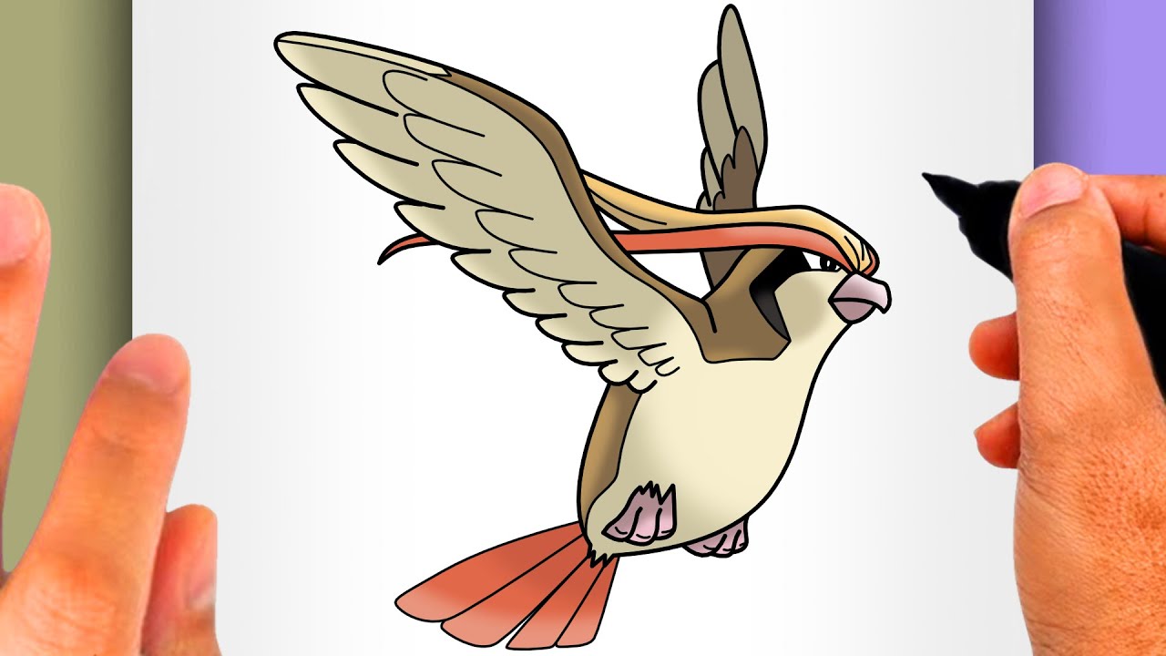 HOW TO DRAW PIDGEOT - How to Draw Pokémon Nº 0018 (EASY POKÉMON DRAWING ...
