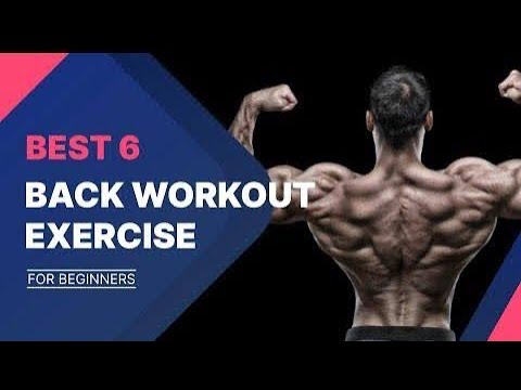 Full Back Workout For Beginners | Muscle Gain | 💯 % Result || # ...