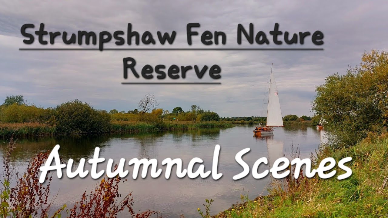 RSPB Strumpshaw Fen Nature Reserve - Autumnal Vibes And Atmospheric ...