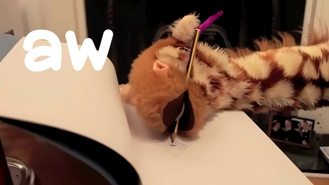 Mr.T Does Phonics with Geraldine the Giraffe - The 'aw' Digraph - YouTube